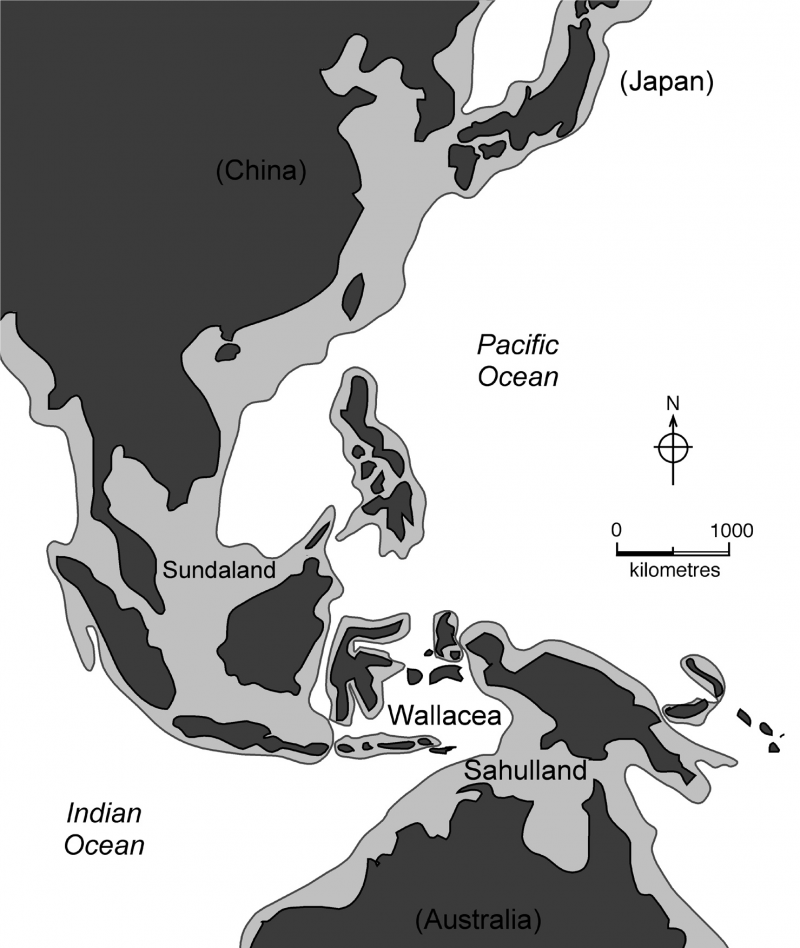 BUKTI BANGSA MELAYU SEBAGAI PENDUDUK ASAL TANAH MELAYU — FOKUS